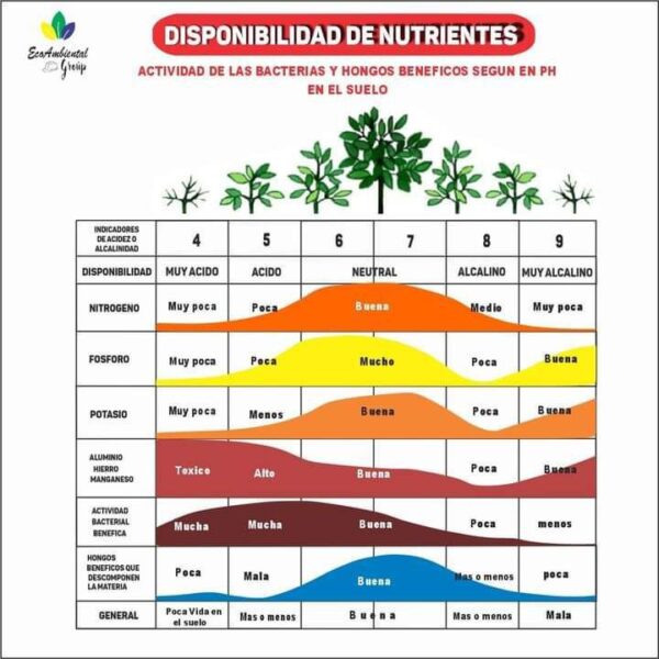 Importancia del pH del suelo en la disponibilidad de nutrientes y ...